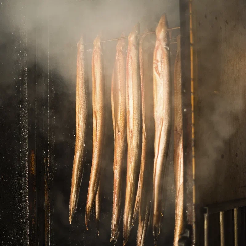 Węgorz - grillenagaz.pl